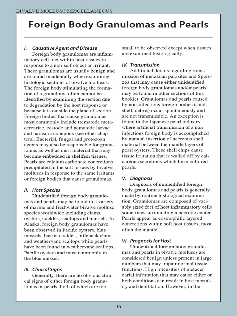 foreign body granulomas and pearls | PDF | Pearl | Bivalvia