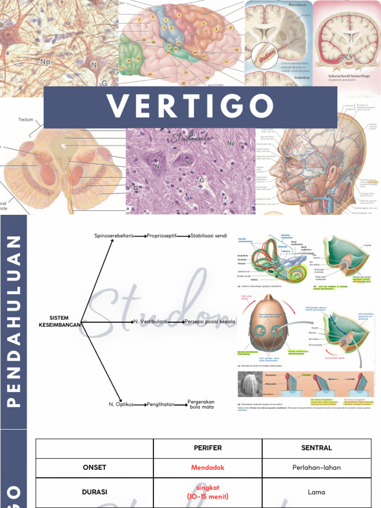 Panduan Diagnosa dan Terapi Vertigo | PDF