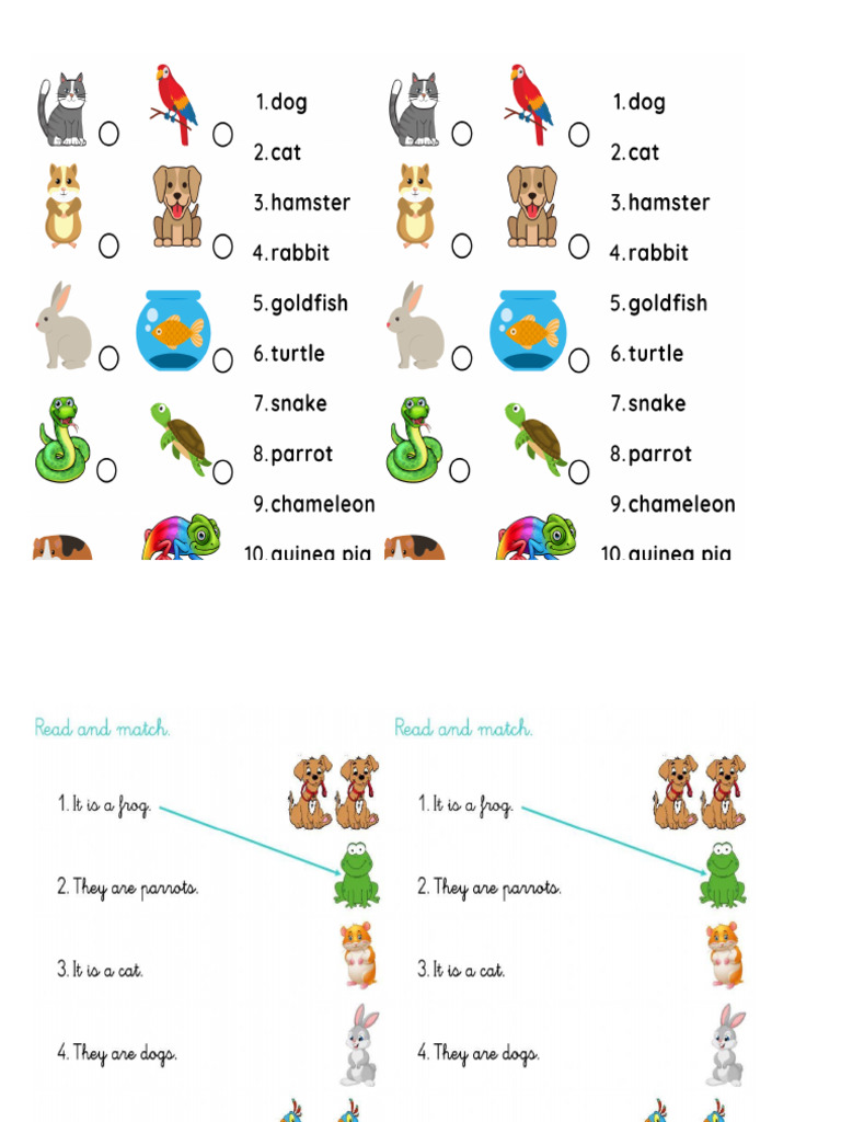 Activities Pets | PDF