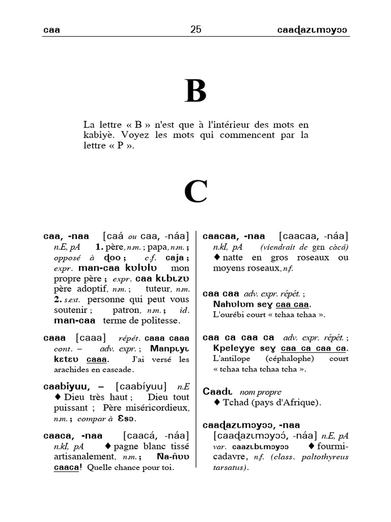 Dictionnaire Kabyè : Apprentissage et Culture | PDF