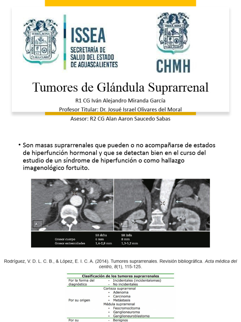 Tumores de Glándula Suprarrenal | PDF | Enfermedades y trastornos ...