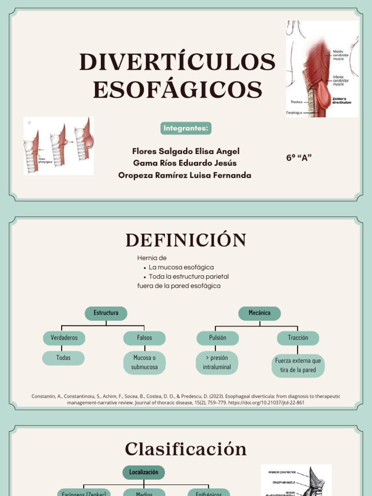 Divertículos | PDF | Esófago | Enfermedades digestivas