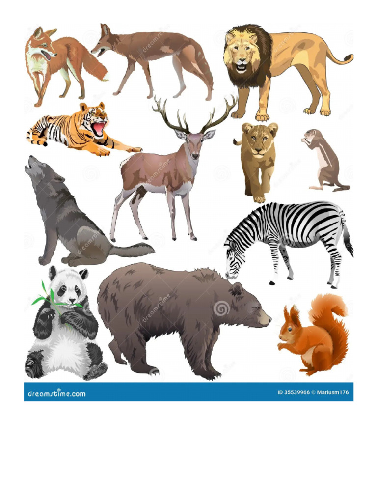 Para Imprimir Animales Pdf