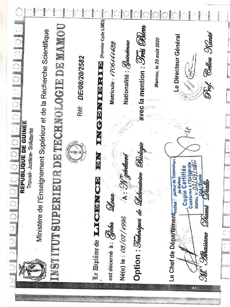 Diplome Licence | PDF