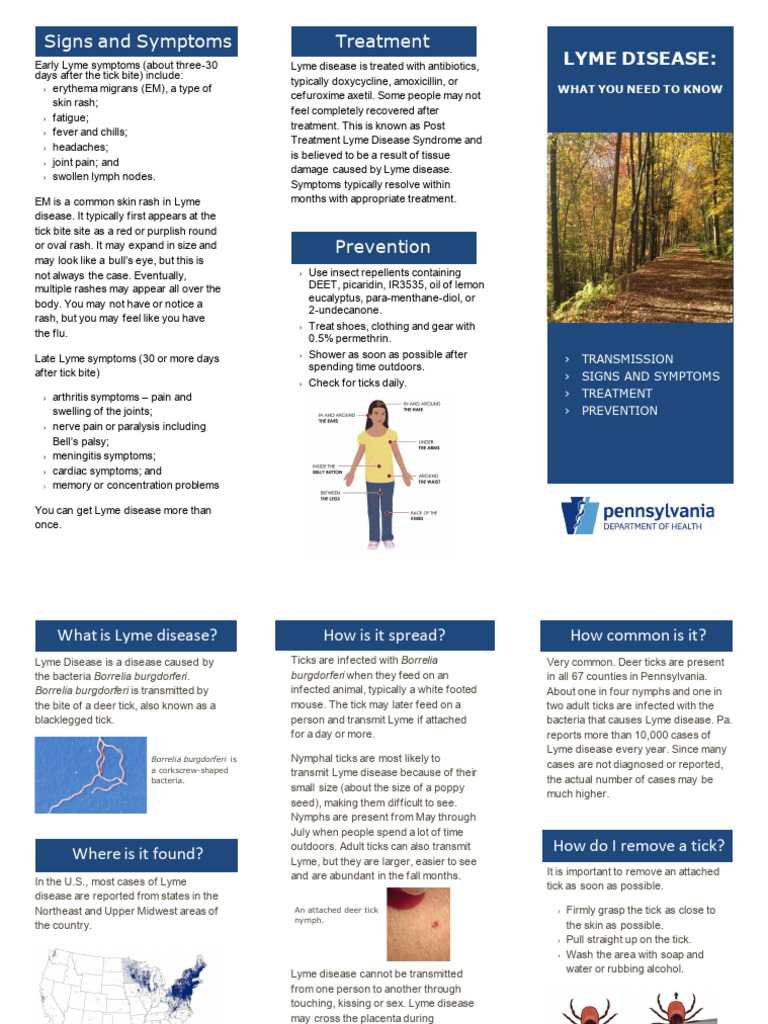 Lyme Brochure PA | PDF | Lyme Disease | Diseases And Disorders