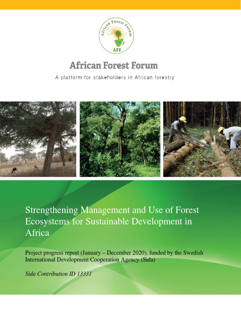 2020 Annual Project Report Sida | PDF | Sustainability | Climate Resilience