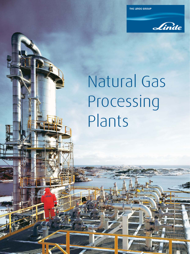 Natural Gas Processing Plants | PDF | Natural Gas | Natural Gas Processing
