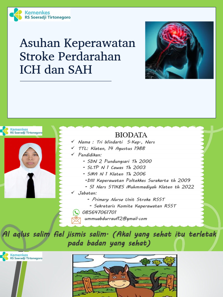 Tri Win | PDF | Stroke | Angiology