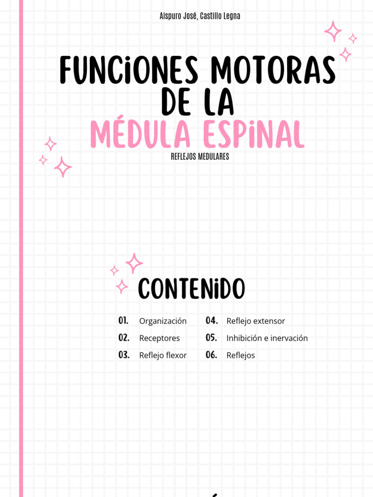 Funciones Motoras de La Médula Espinal | PDF | Neurona | Músculo
