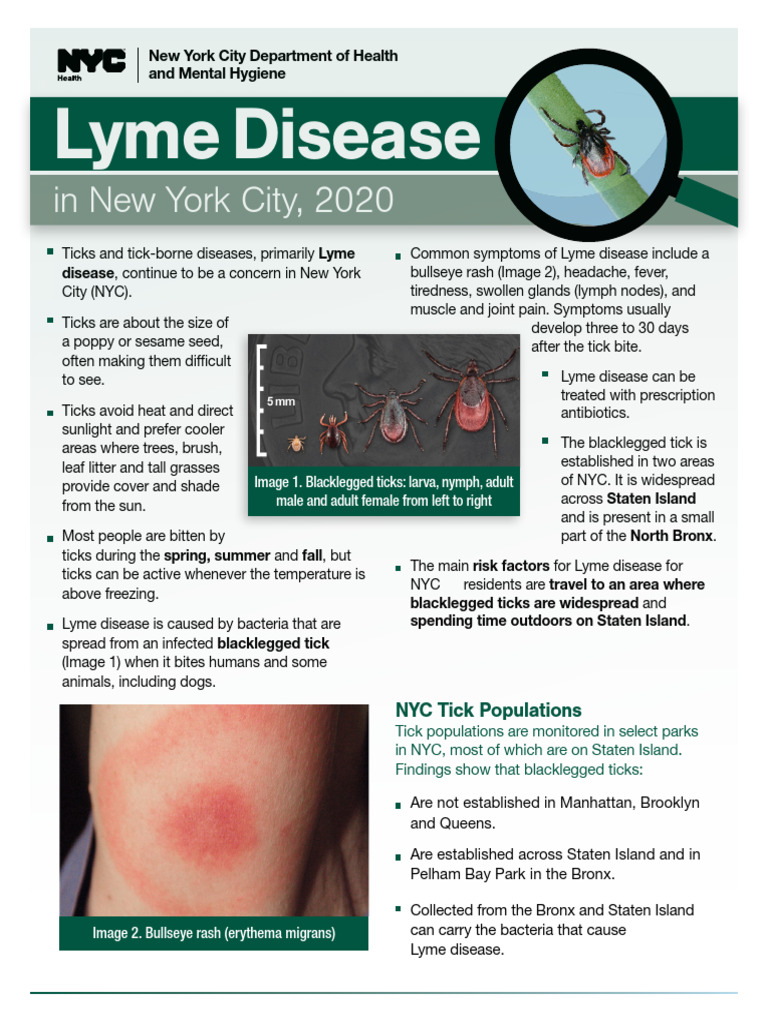 Lyme Disease Nyc 2020 | PDF | Lyme Disease | Public Health
