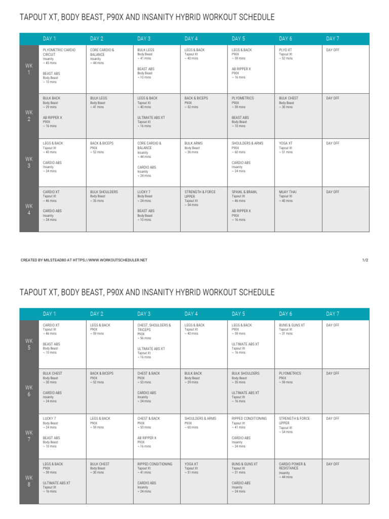 Tapout XT Body Beast p90x and Insanity Hybrid Workout Schedule 2 | PDF ...