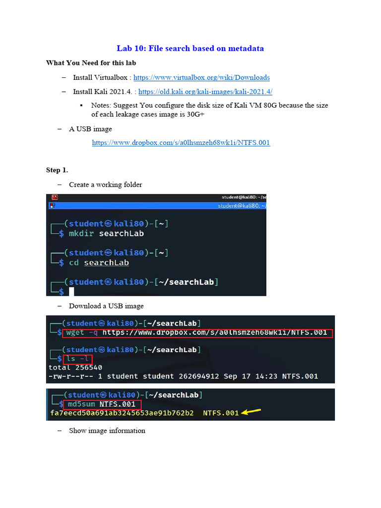 Lab-10 SE173102 | PDF