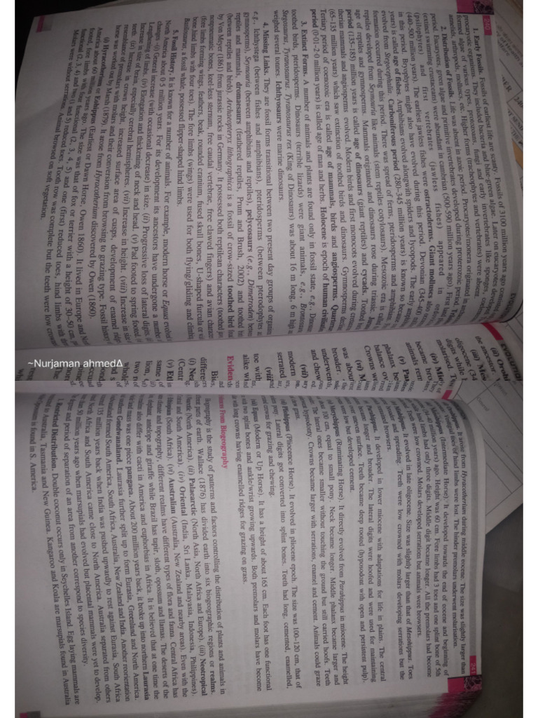 Evolution Notes | PDF