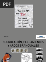 Desarrollo Embrionario III Neurulación | PDF | Anatomía | Biología del ...