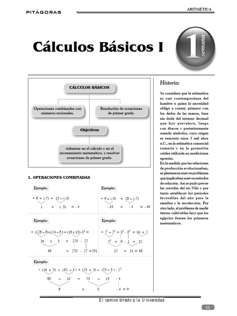 Calculos Basicos | PDF | Aritmética | Ecuaciones