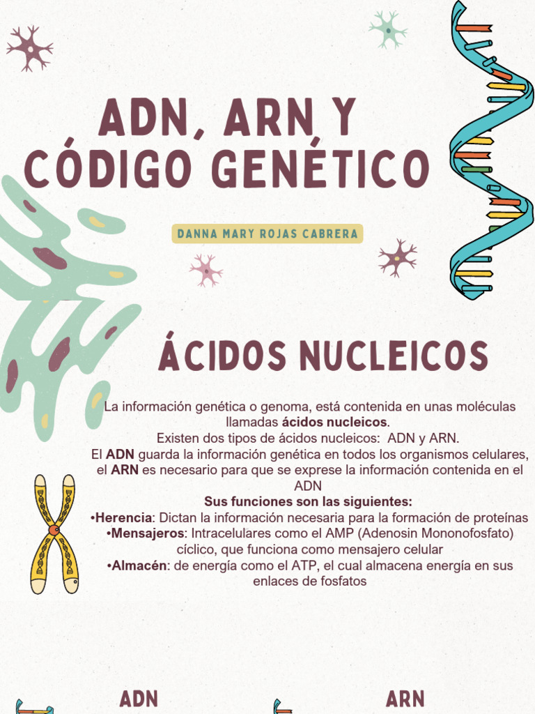 DNA, ARN y Código Genético | PDF | Traducción (biología) | Rna