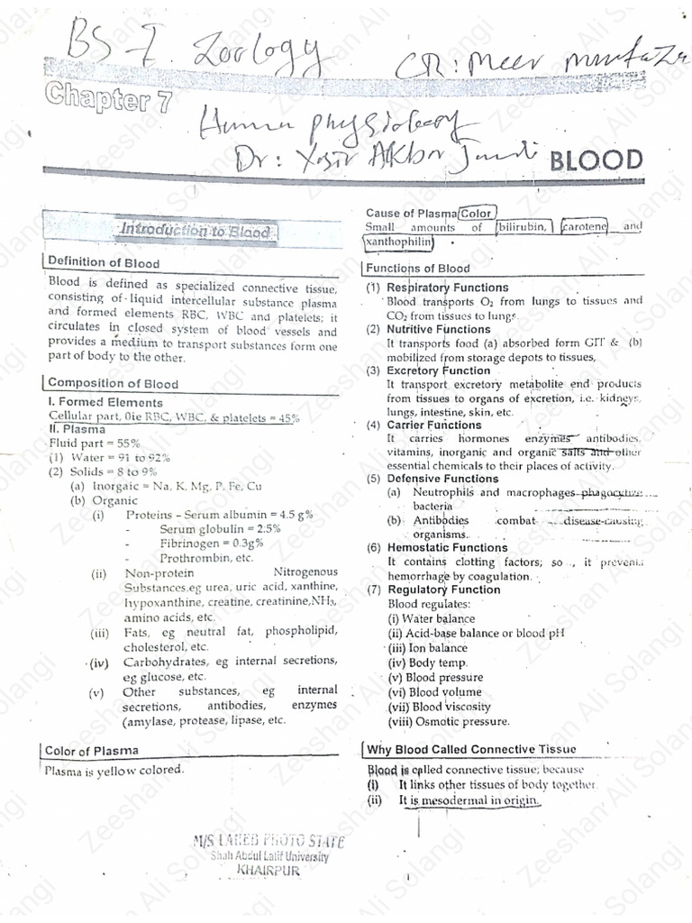 Blood | PDF