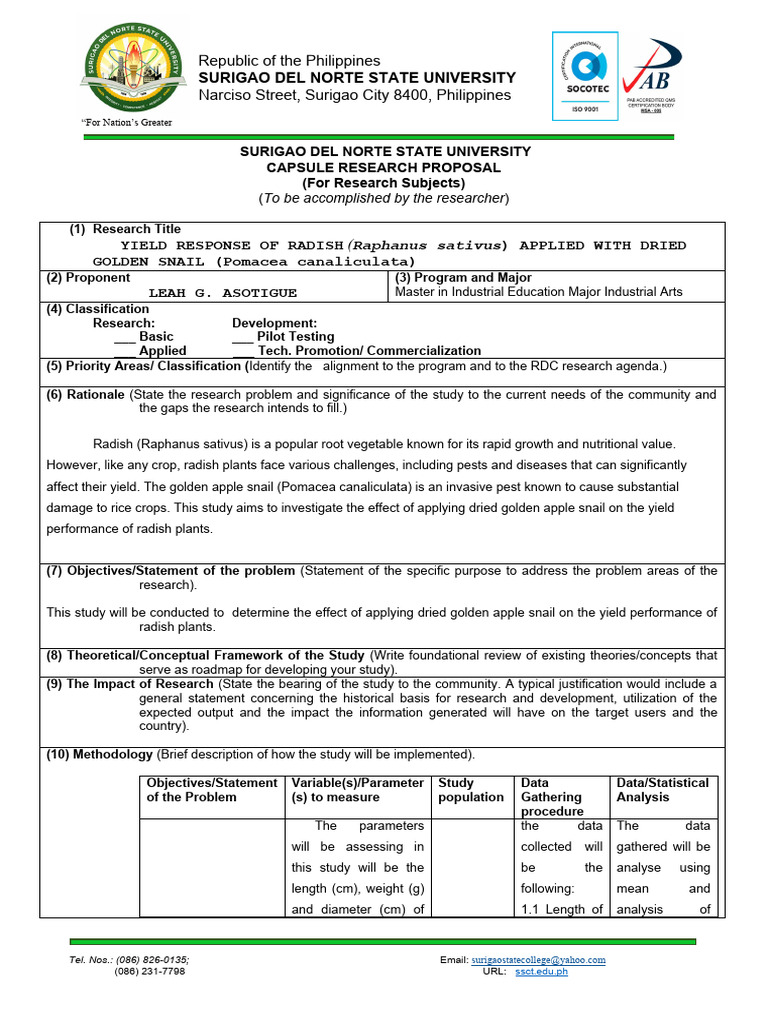 SNSU Grad School Capsule Proposal Template 5 Raddish | PDF