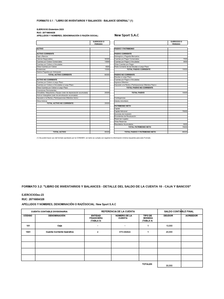 Formatos Conta. | PDF | Contabilidad | Dividendo