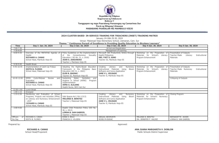 Fundado ES - Annual Plan For Professional Devt | PDF | Cognition | Learning