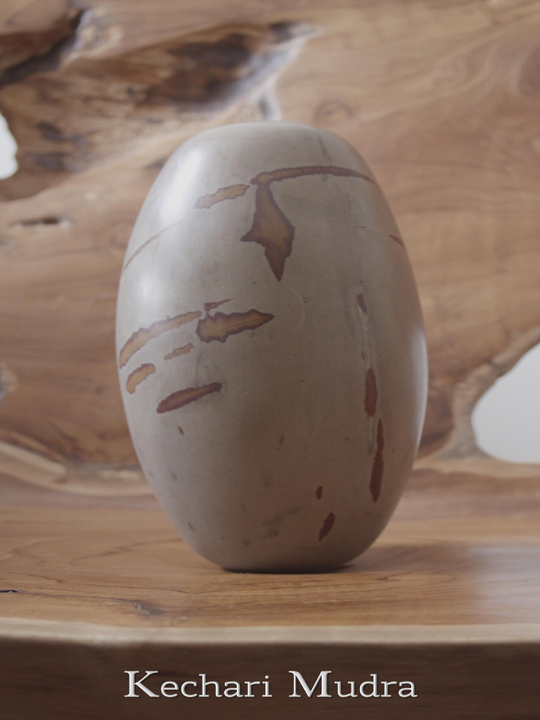 Kechari Mudra Book | PDF