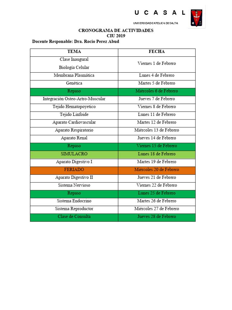 Cronograma CIU 2019 | PDF