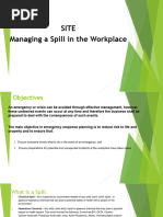 Spill Kit Check List | PDF