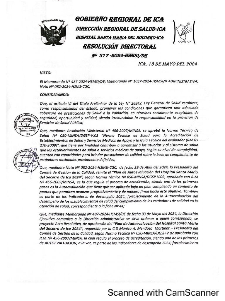 Plan de Autoevaluacion Del Hospital Santa Maria Del Socorro de Ica 2024 ...