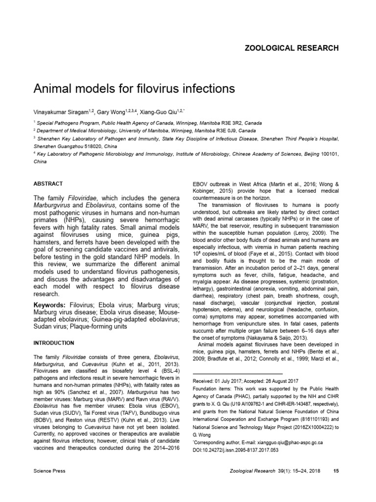 Animal Models For Filovirus Infections | PDF | Virus | Infection