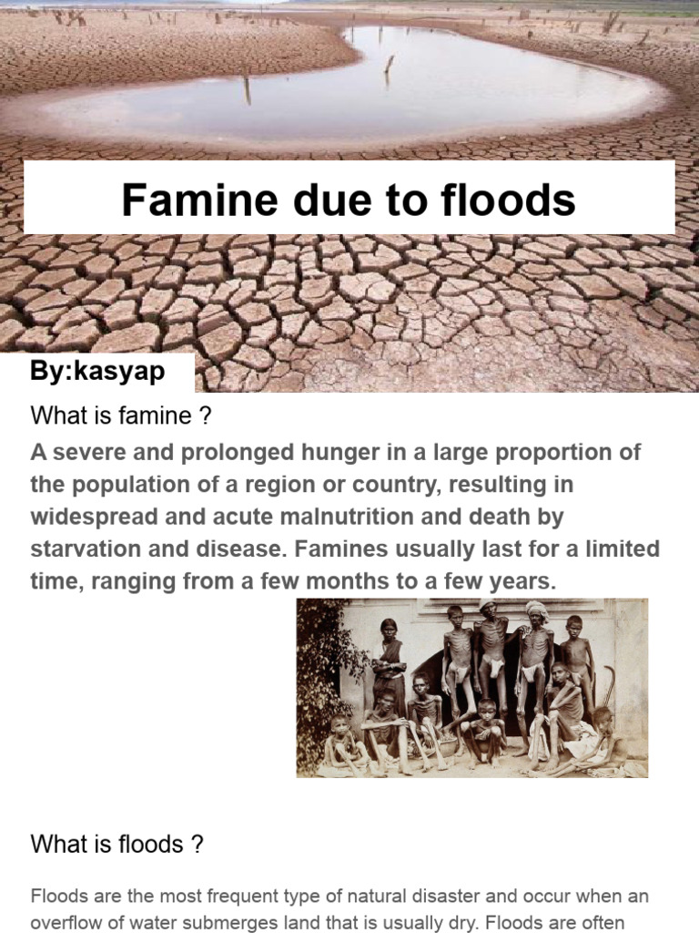 Famine due to floods | PDF