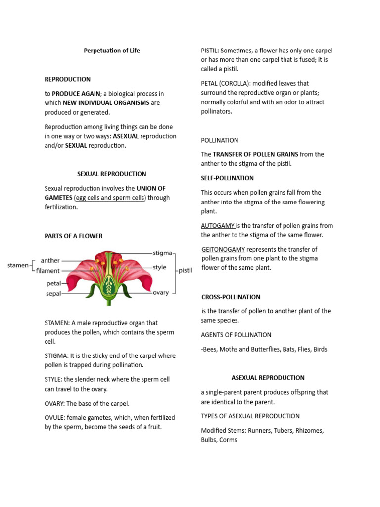 Perpetuation of Life | PDF | Flowers | Sexual Reproduction