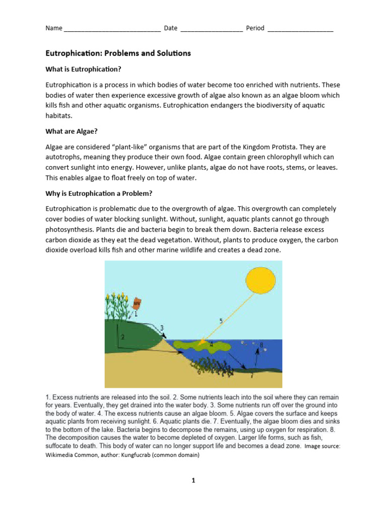 Eutrophication: Problems and Solutions | PDF | Eutrophication | Fertilizer