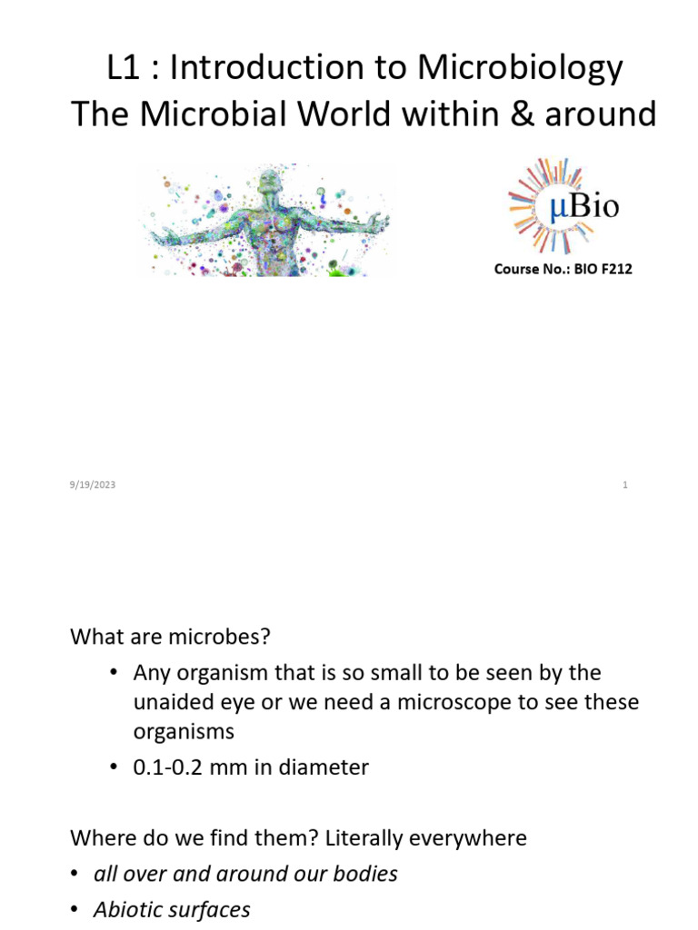 Micro Bio | PDF | Streptococcus | Microscopy