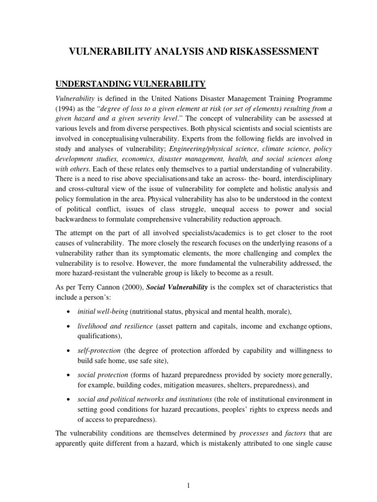 Vulnerability And Risk Assessment Pdf Risk Risk Assessment