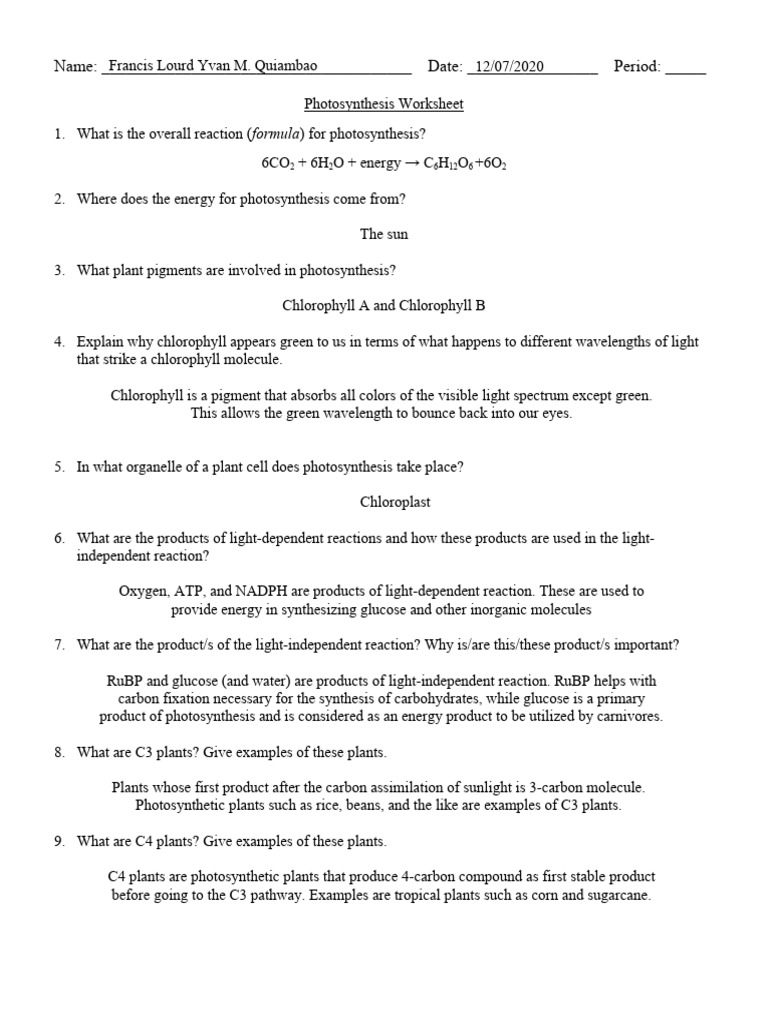 Photosynthesis Worksheet | PDF | Photosynthesis | Biochemistry