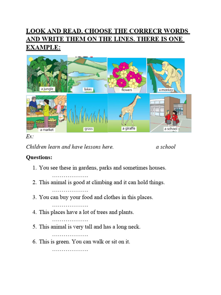 Look and Read | PDF