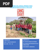 Cattle Project Proposal | PDF | Cattle | Livestock