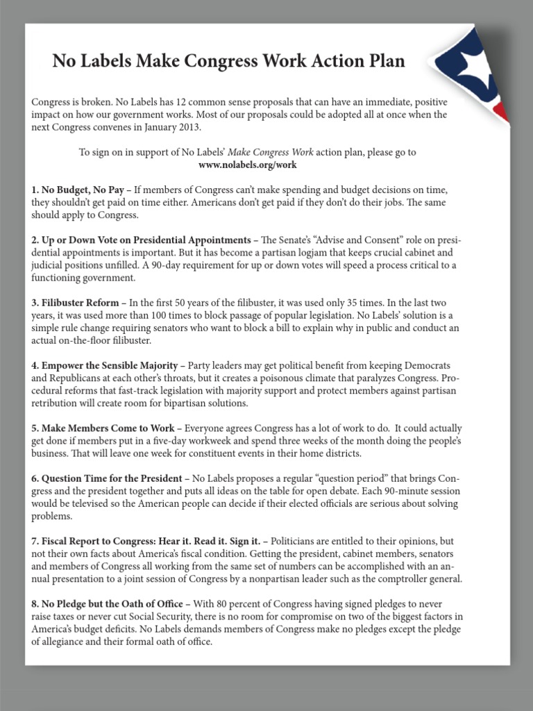 No Labels Make Congress Work Action Plan | PDF