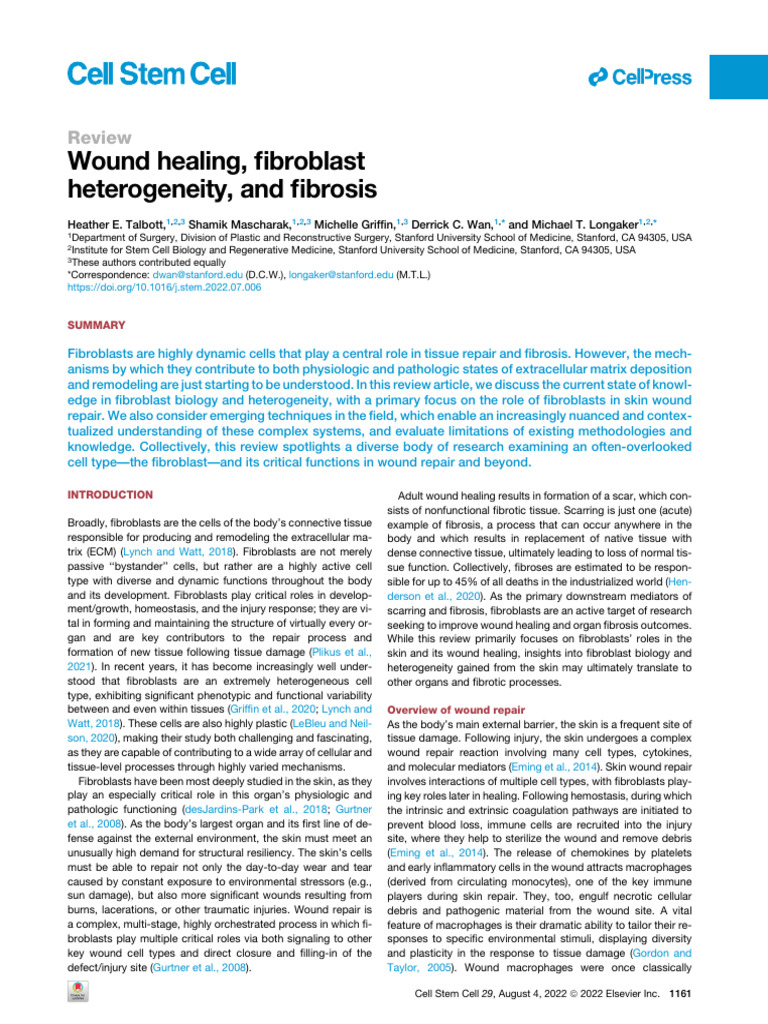 Fibroblast Roles in Wound Healing | PDF | Wound Healing | Fibroblast