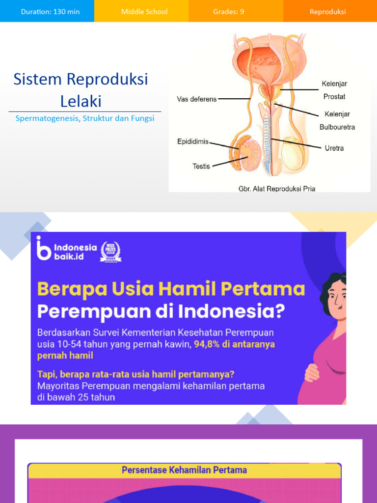 Sistem Reproduksi Manusia (Bahan Ajar 2024) | PDF
