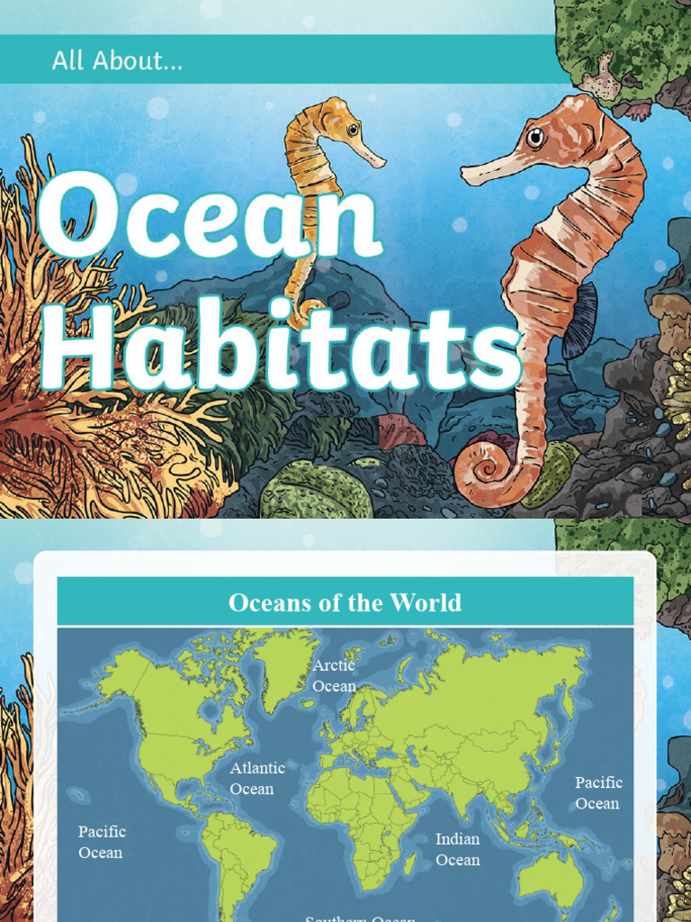 Ocean Habitats PPT1 | PDF | Coral Reef | Habitat