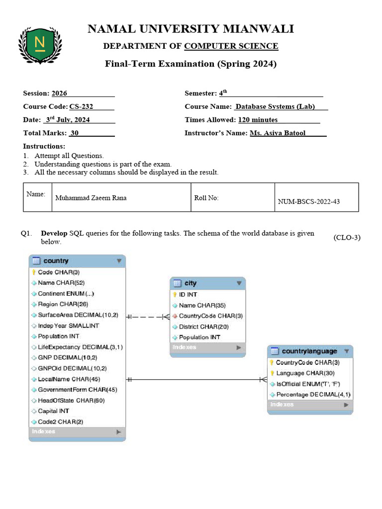 DB Lab Final (Num Bscs 2022 43) | PDF | Databases | Data