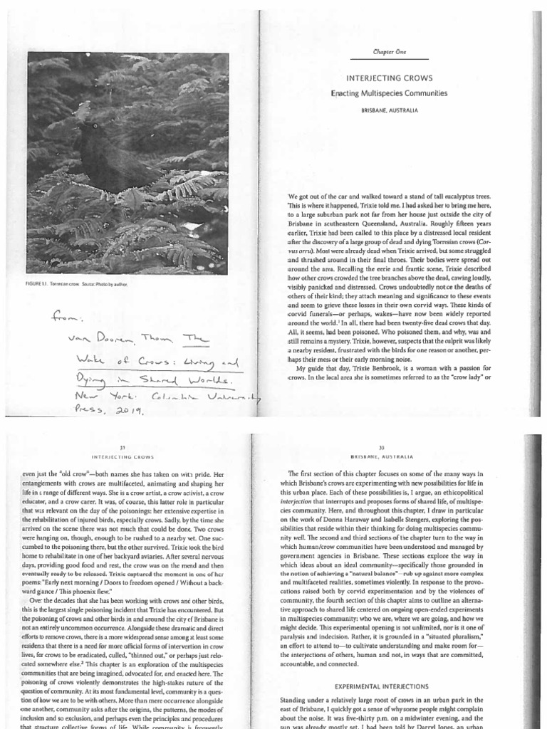 Van+Dooren+ +Interjecting+Crows | PDF