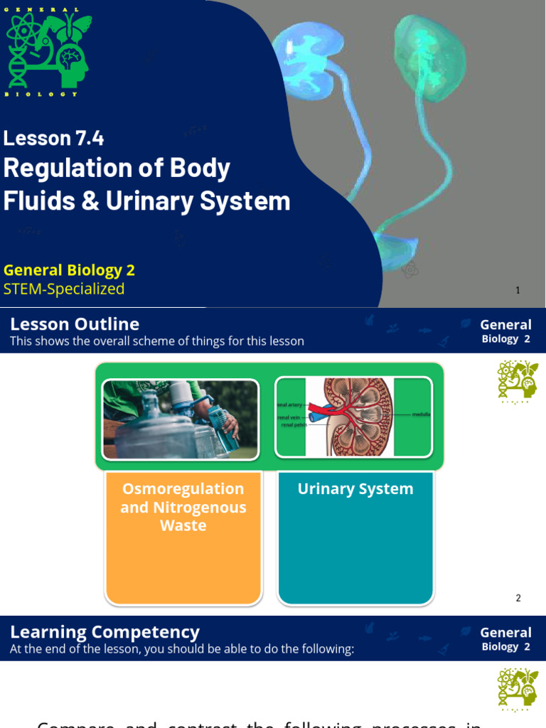 General Biology 2 - Lesson 7.4 Regulation of Body Fluids & Urinary ...