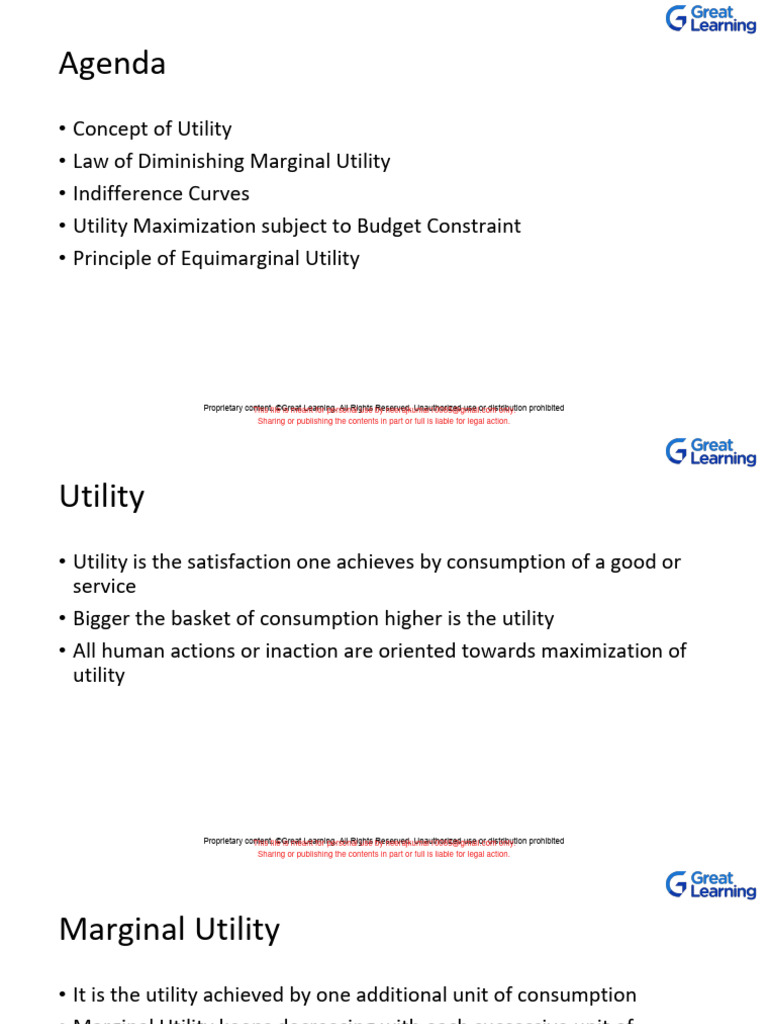 Theory of Consumer Behavior | PDF | Utility | Marginal Utility