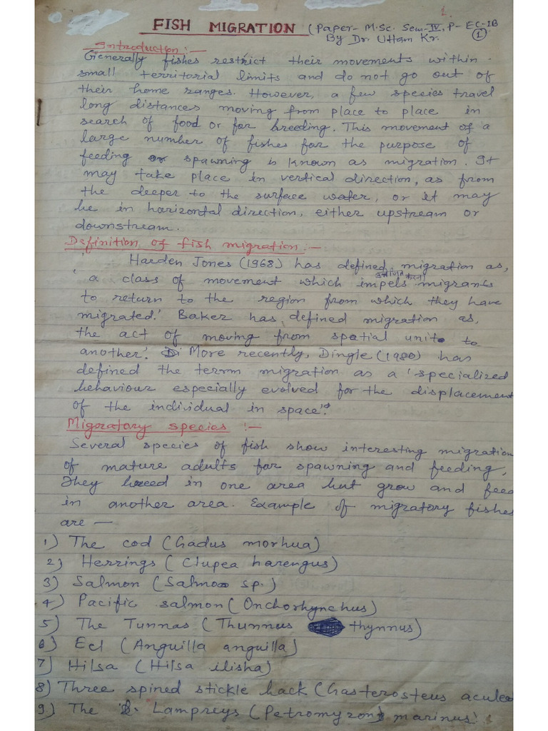 MSc zoology -Fish migration - fourth- semester | PDF