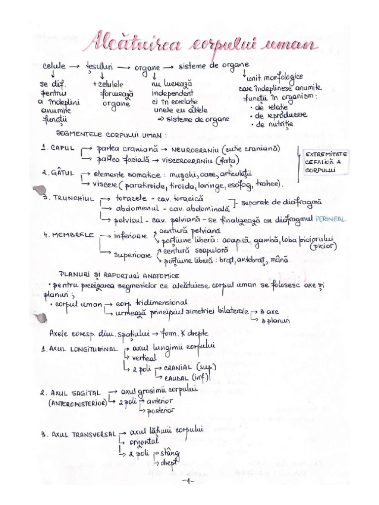 Notite Medicina Biologie-1 | PDF