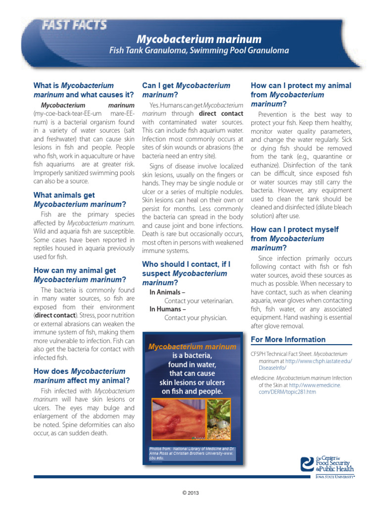 Mycobacterium Marinum F | PDF | Medical Specialties | Diseases And ...