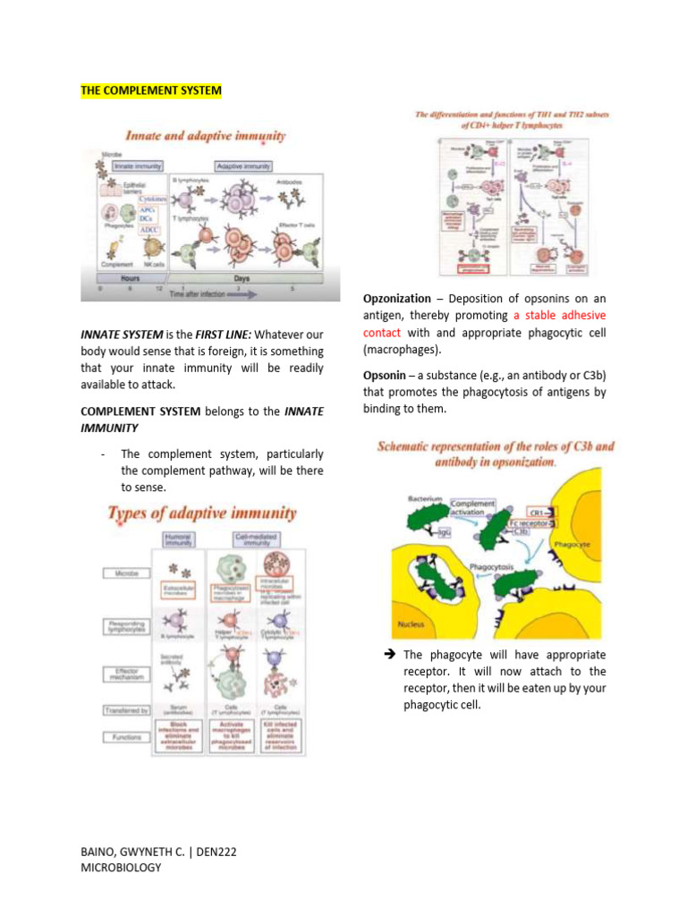 Immunology PT 2 The Complement System Transes | PDF | Complement System | Humoral Immunity