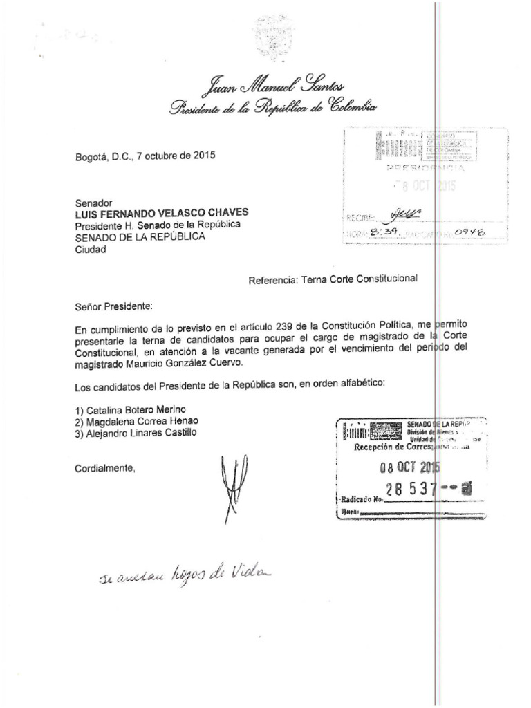 HV Candidatos MCC | PDF